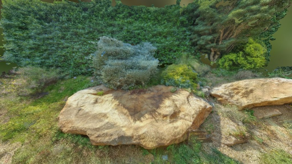 Botanical Garden rock and bush - 3D model by amelling [d56aea1] - Sketchfab