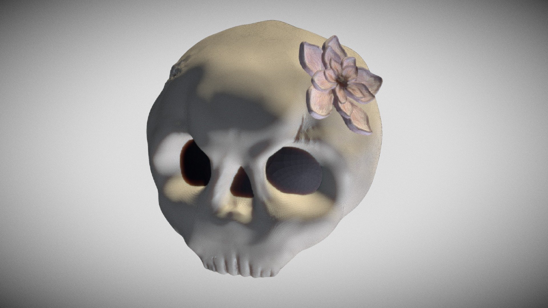 Skull - Download Free 3D model by amoguus [d571479] - Sketchfab