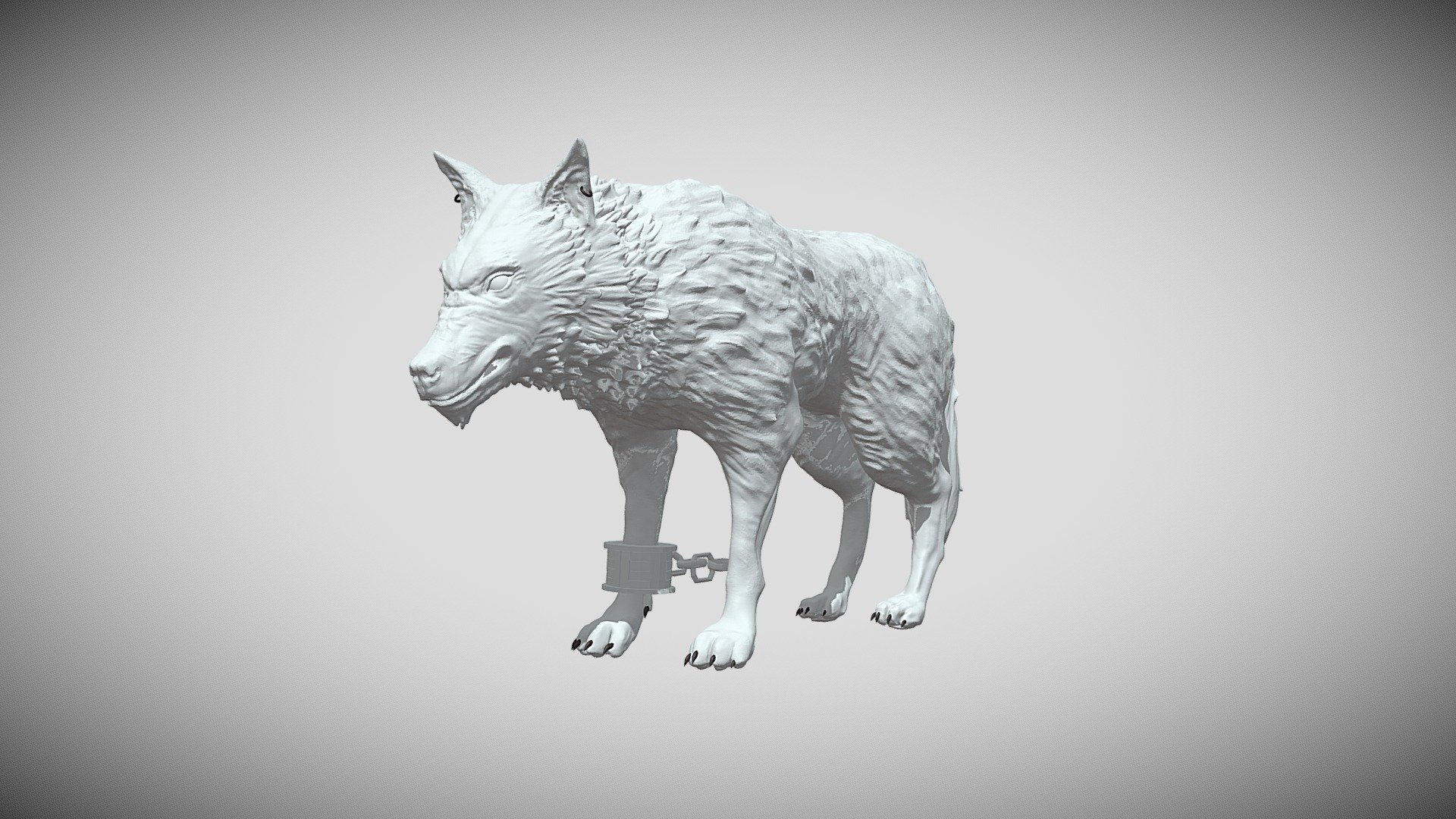 McBride_Isabella_Wolf_sketchfab - 3D model by Apollo11x [d575754 ...