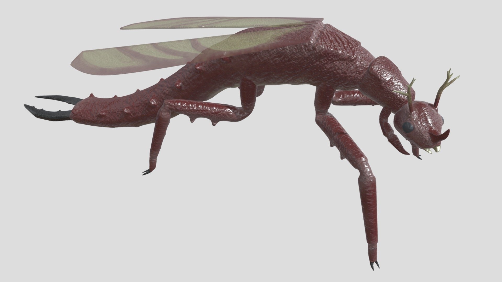 "Dragon" and Definitely not an Earwig - 3D model by hauntedgrouse ...