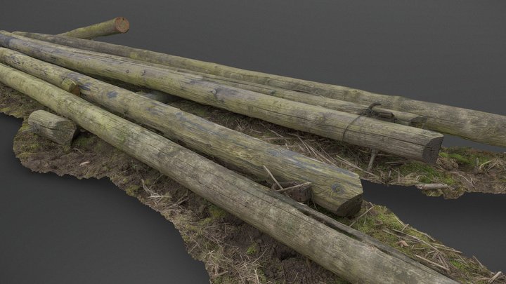 Poles 3D models - Sketchfab