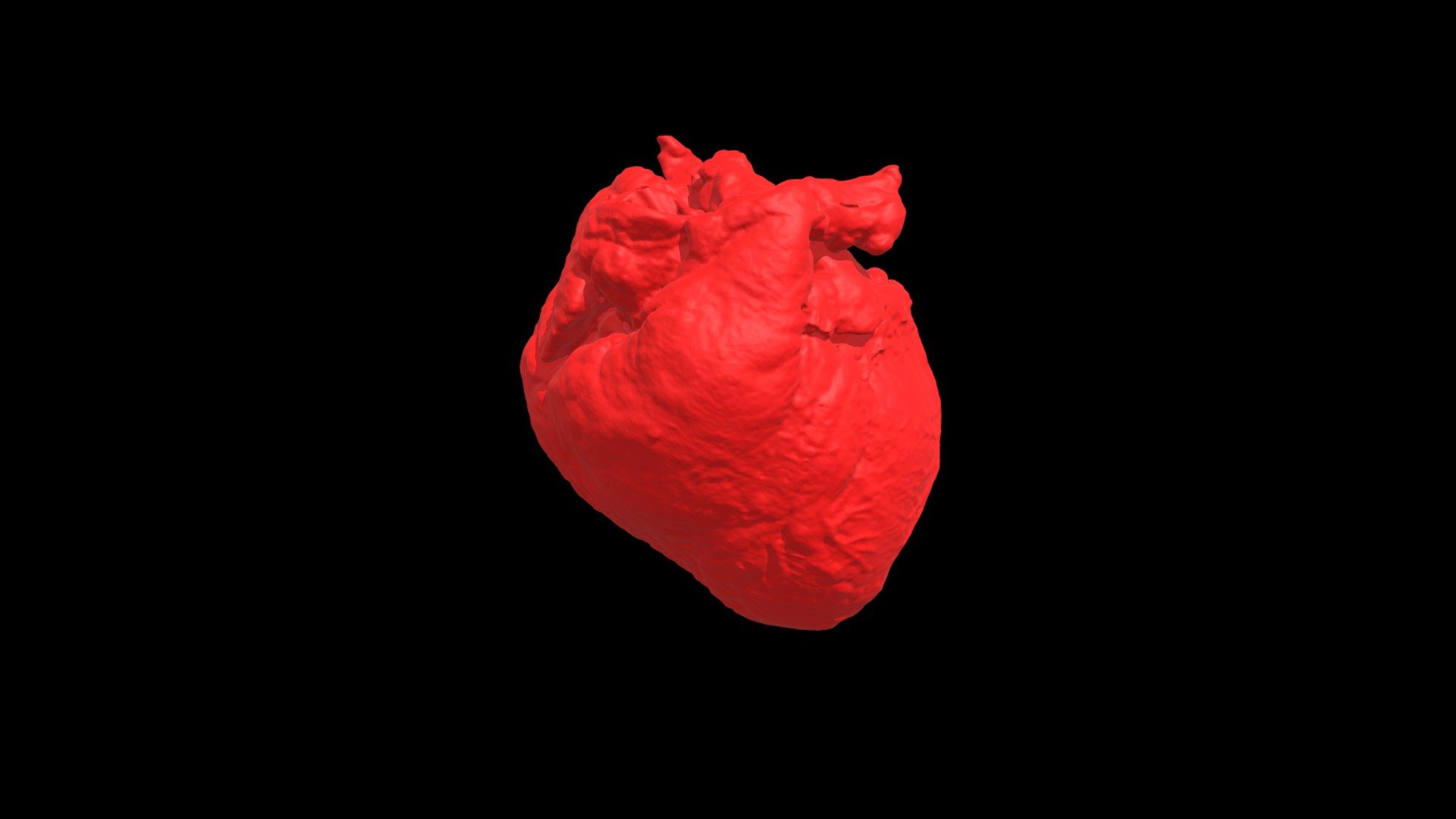Hypertrophic Adult Heart- Heart0126 - Download Free 3D model by ...