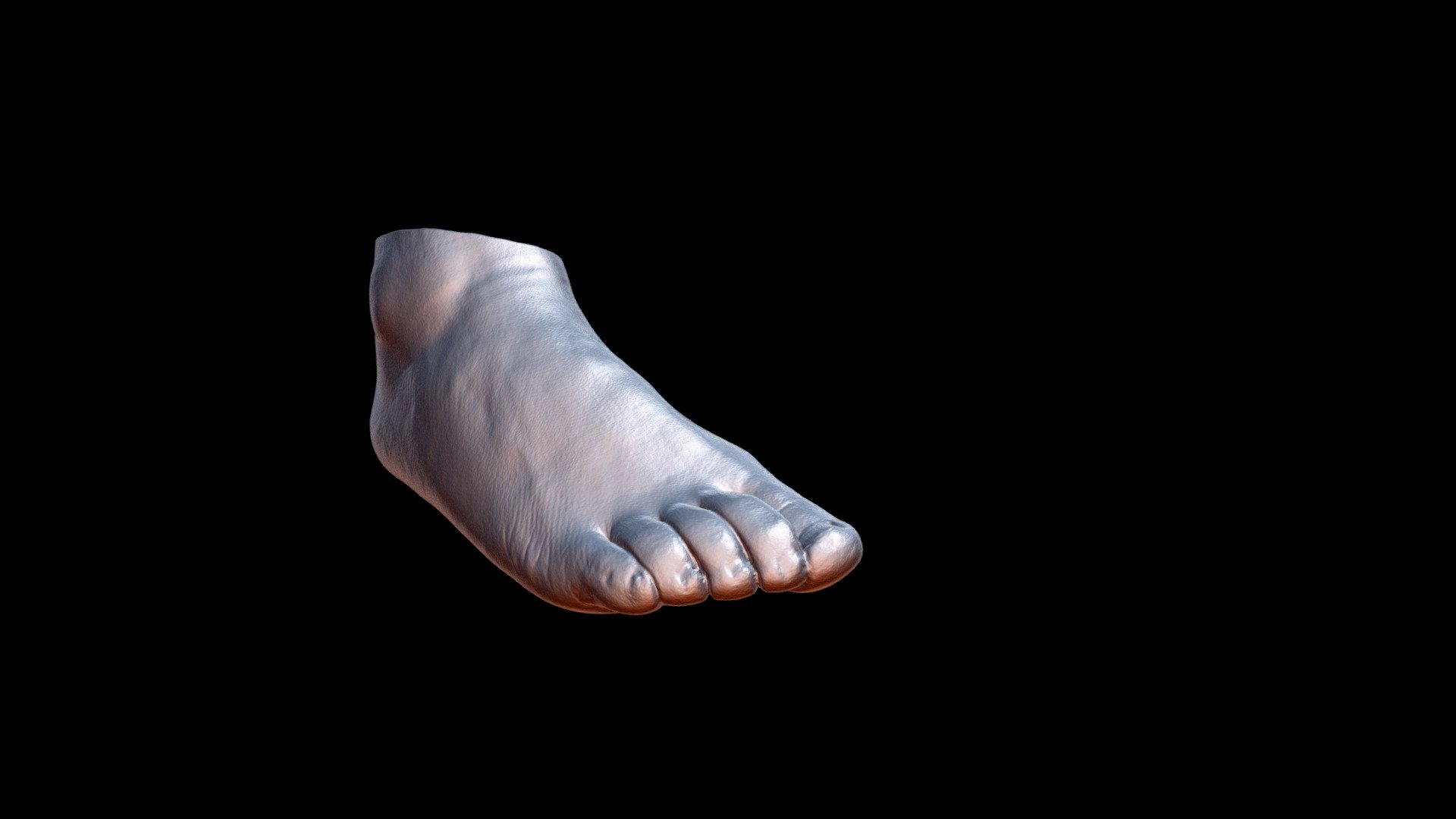 Foot - Download Free 3D model by Thunk3D 3D Scanner (@Lily.Qin1 ...