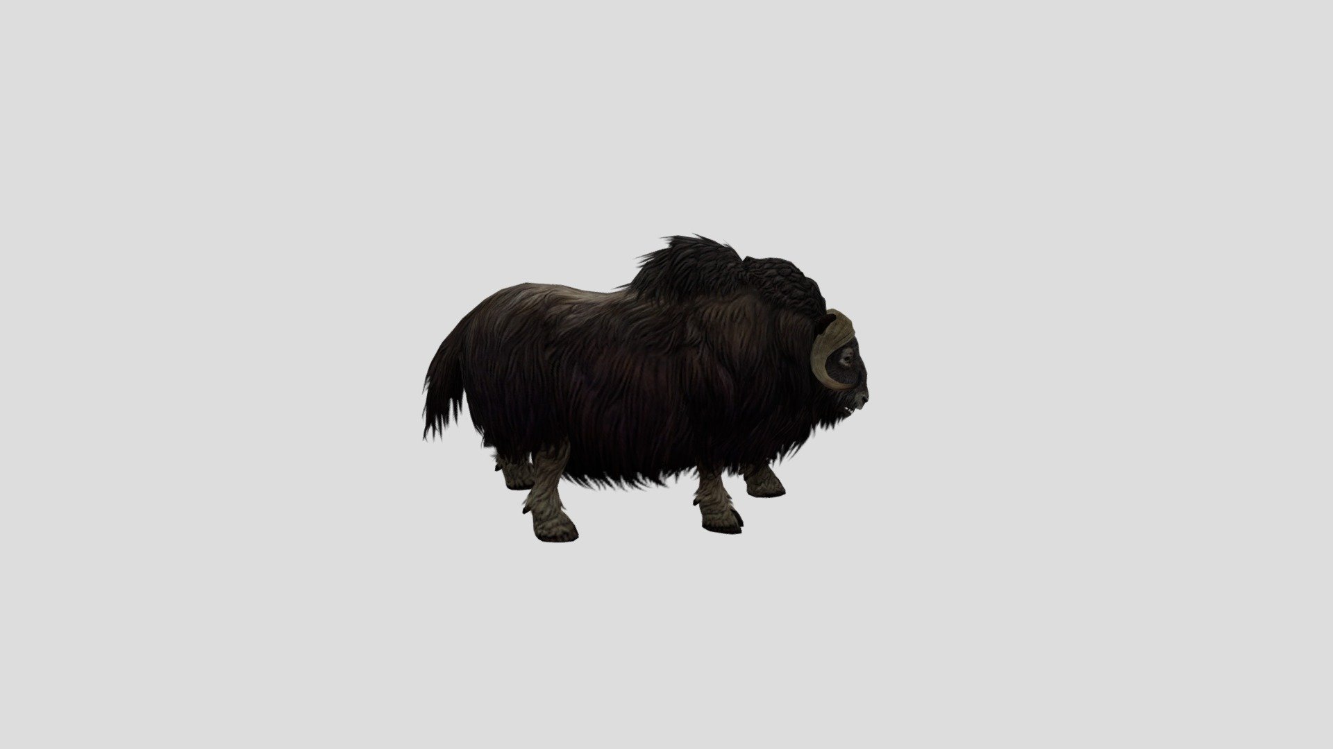 Musk Cow - Download Free 3D model by LostBoyz2078 (@LostModels2025 ...