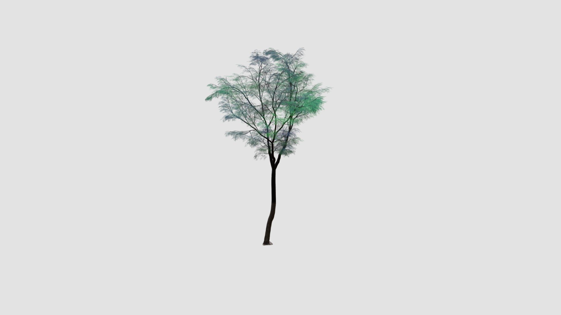 Tree - Buy Royalty Free 3D model by Evermotion [d593e33] - Sketchfab Store