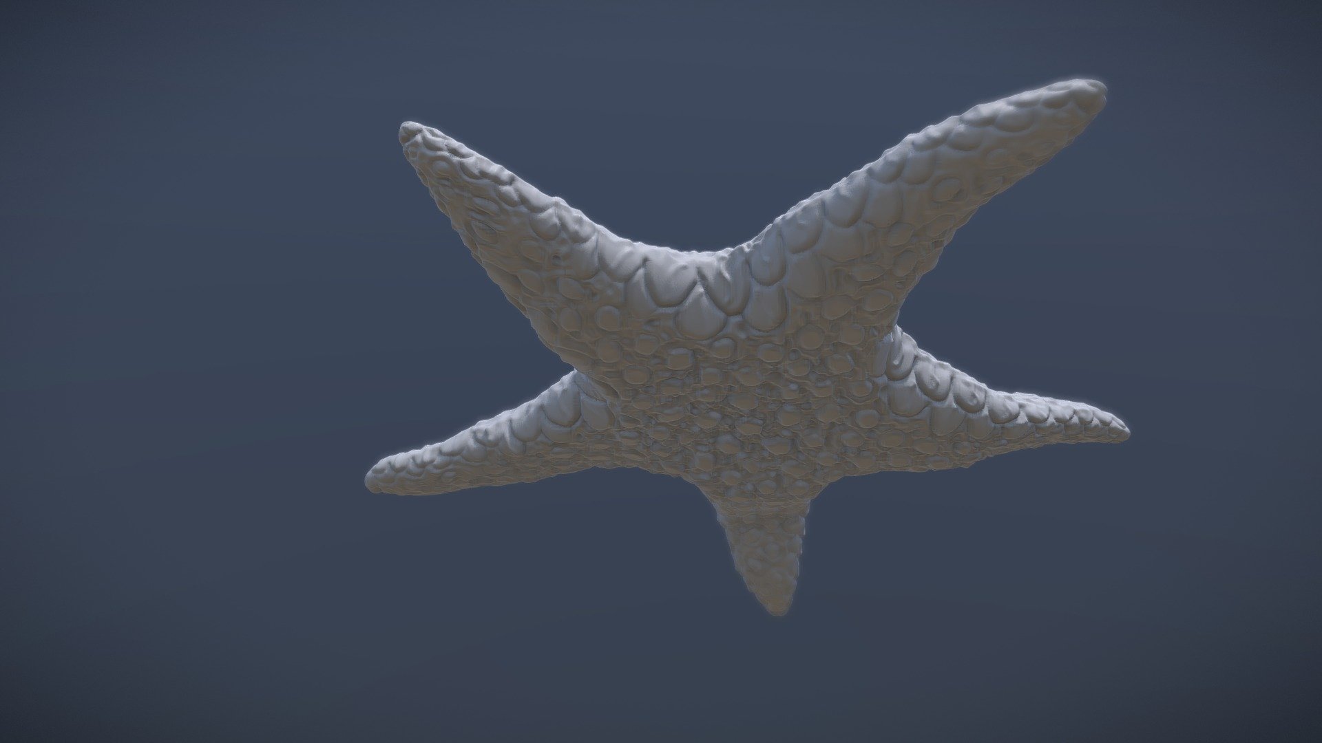 Sculpt January 2018 - 11 Marine - Starfish - 3D model by Amanpreet ...