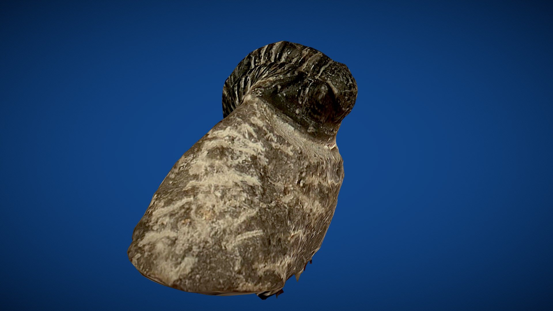 Trilobiet - Download Free 3D model by Frank.Postma [d5964b7] - Sketchfab