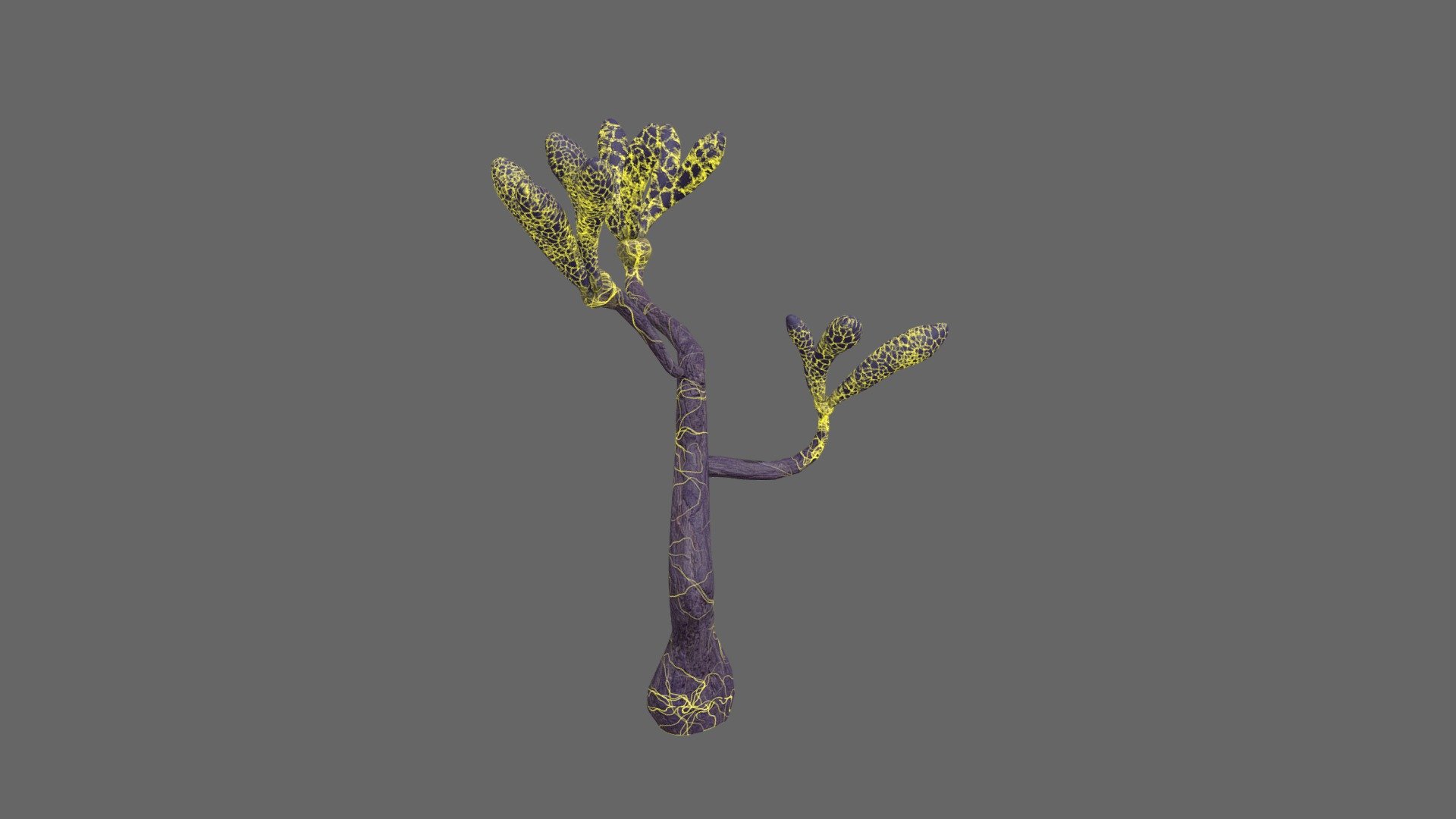 Alien Flora Tree - 3D model by Amir Ibrahim (@ryder4100) [d596ad9 ...
