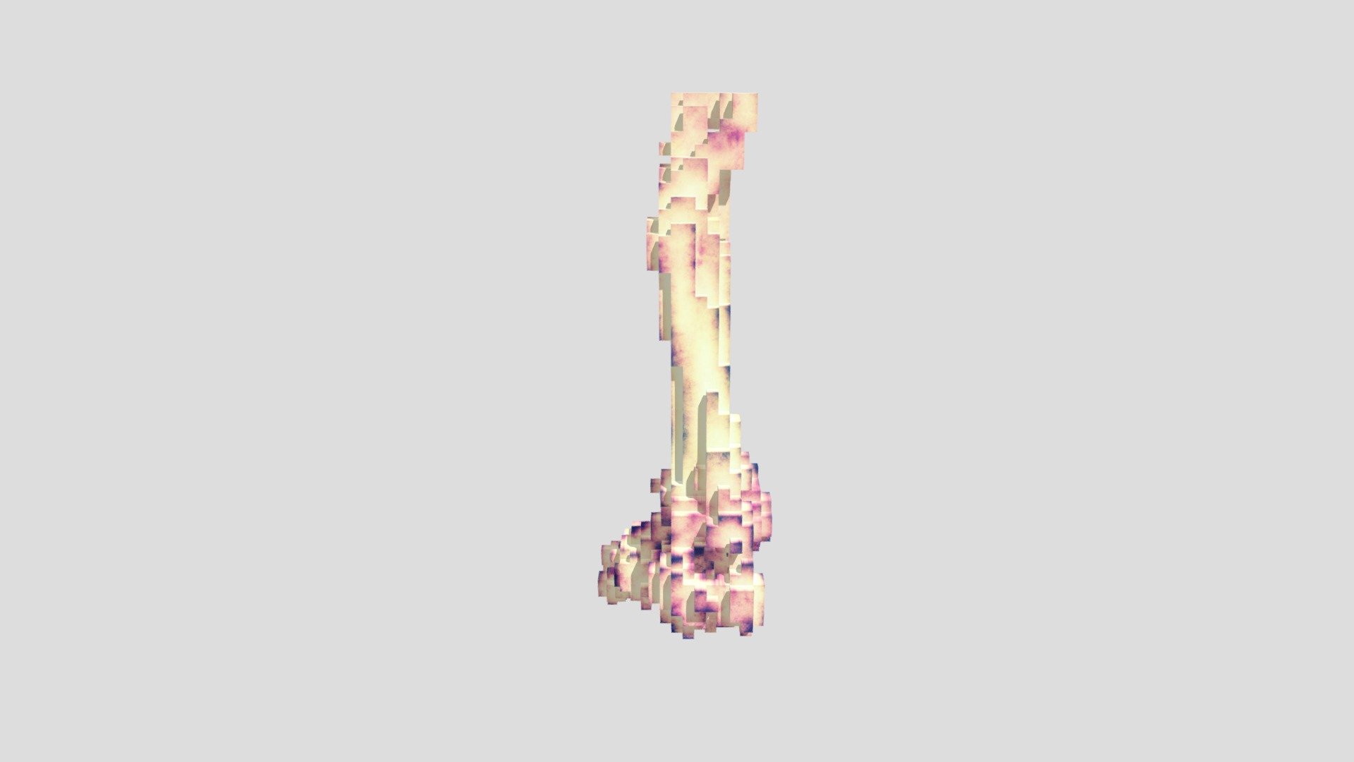 a human skeleton foot only - Download Free 3D model by Mirage ...