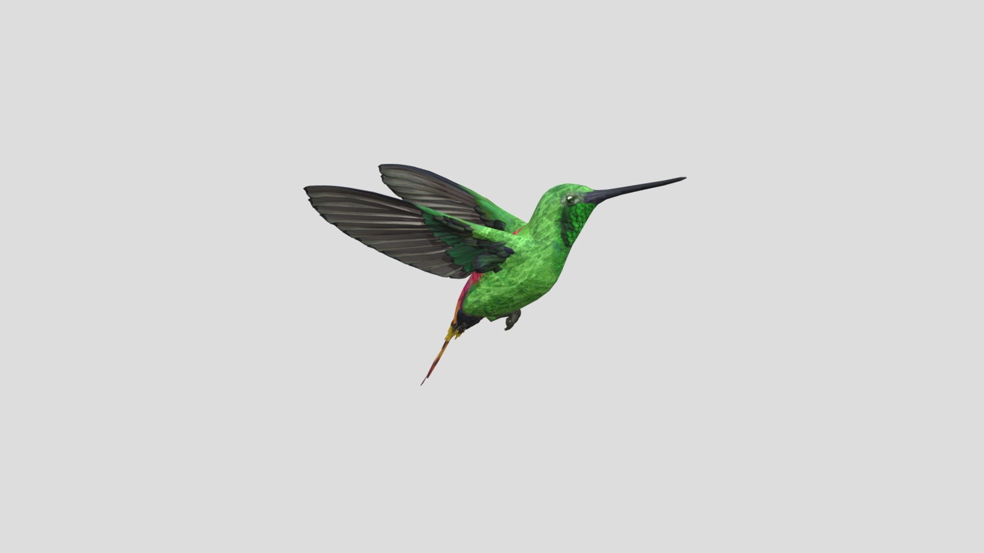 Red Tailed Comet Idle Animation - Download Free 3D model by burak.dag ...