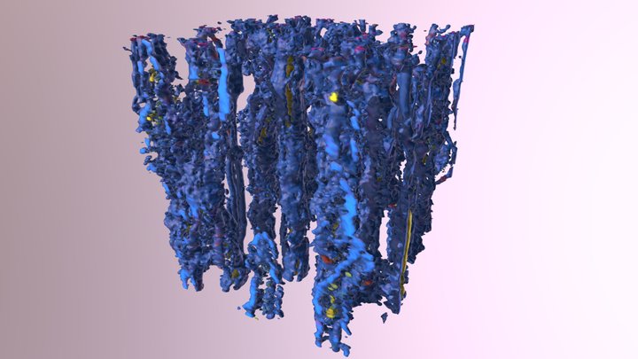 Shadertoy 3d Models Sketchfab
