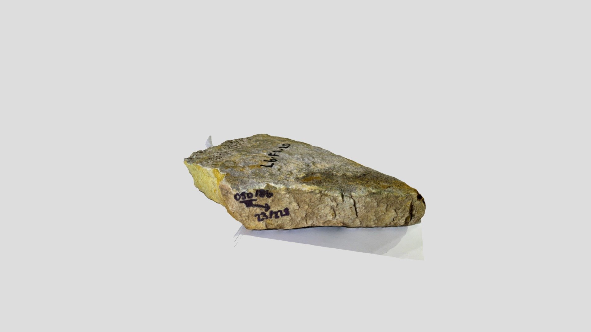 Fracture Surface - Location D - in - Download Free 3D model by lauren ...
