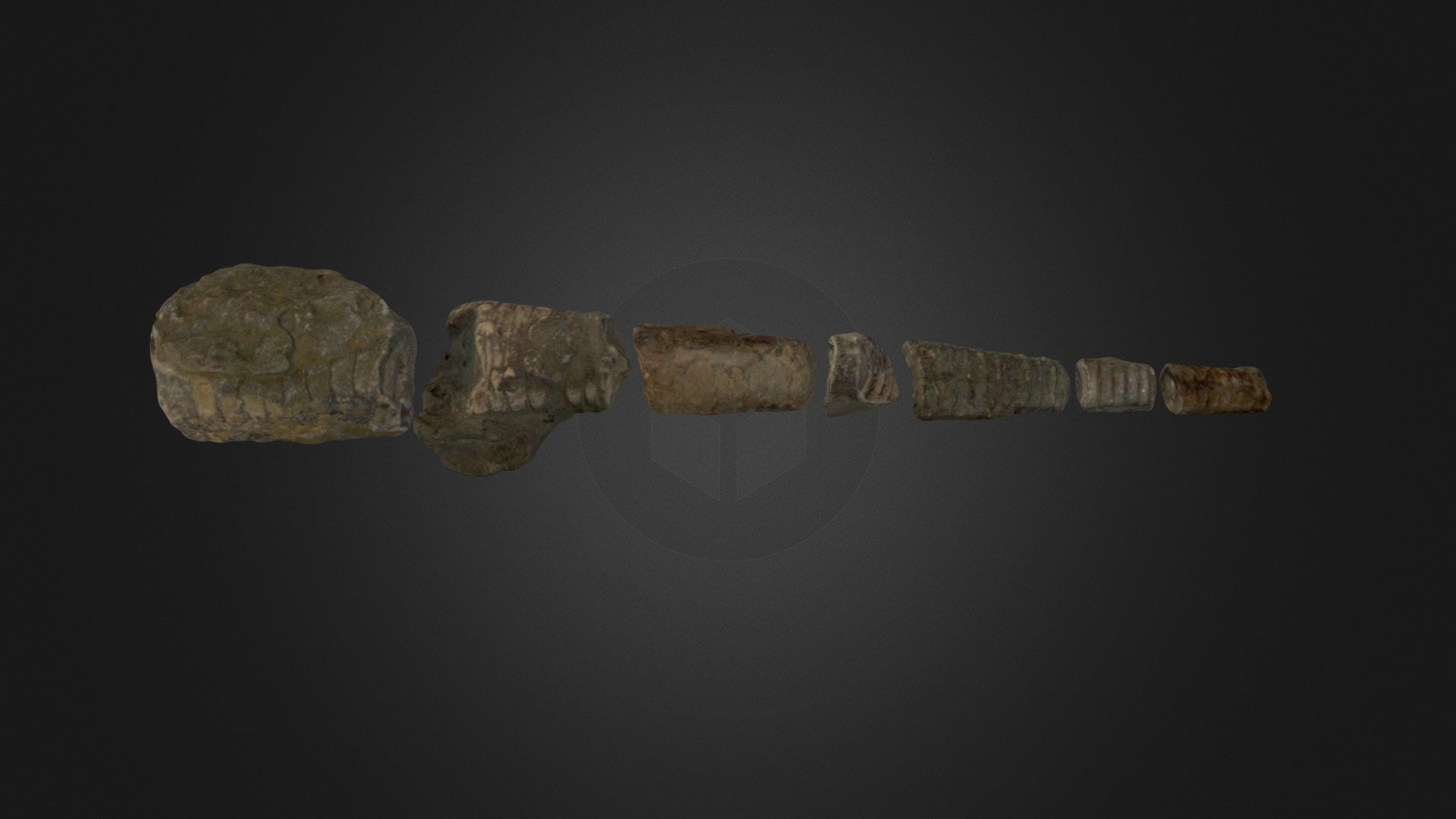 Orthoceras Assembly EinScan SP2 - Download Free 3D model by svickers ...