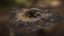 Puddle Texture - Download Free 3D model by OrbArts [d5b15b0] - Sketchfab