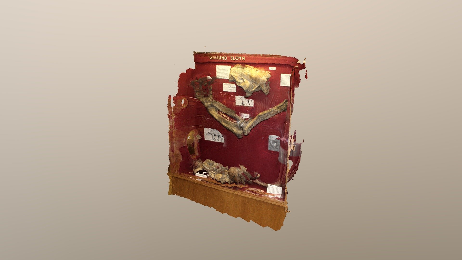 Ground Sloth Test - 3D model by ESUEarthSci [d5b3ac8] - Sketchfab