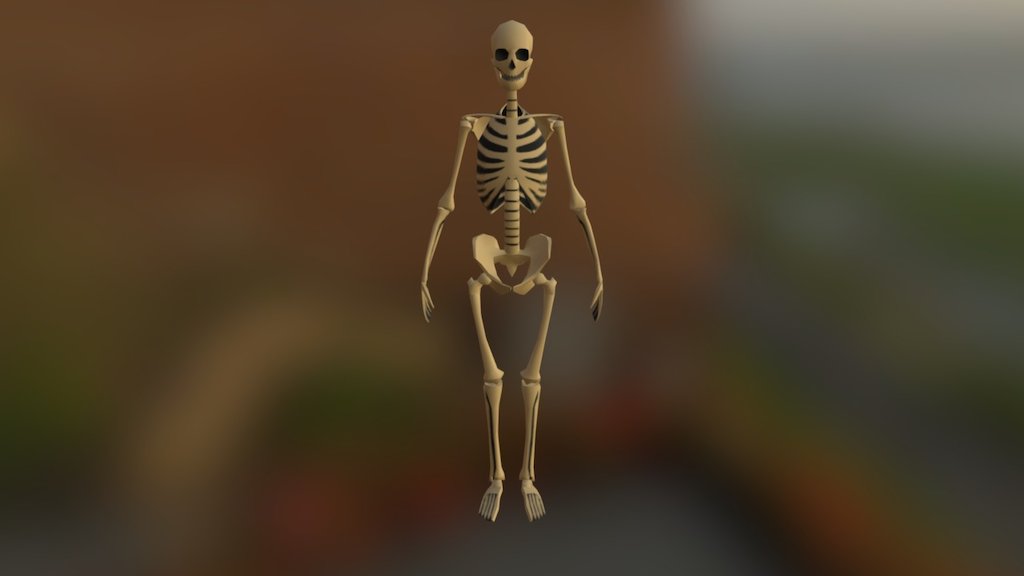 Skeleton - 3D model by TomDK [d5be09b] - Sketchfab
