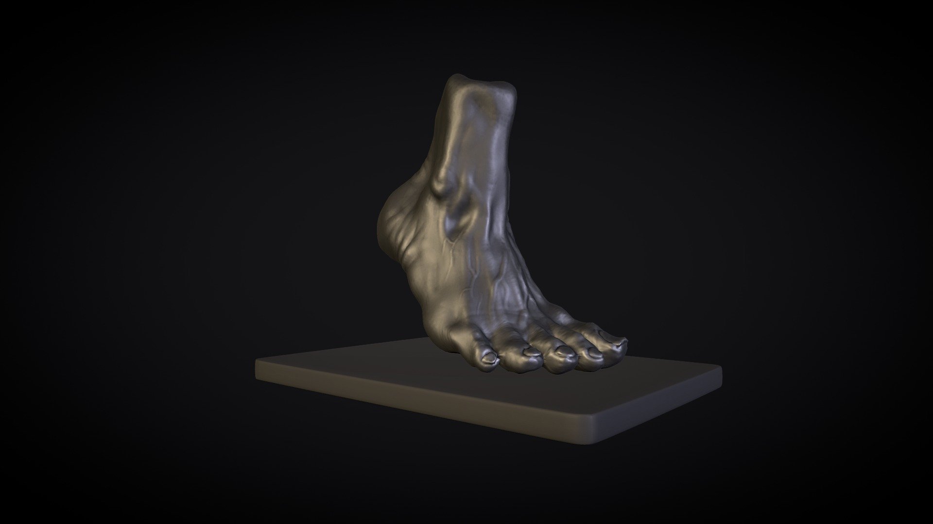 SculptJanuary2018 - no15 - Limb (foot) - Blender - 3D model by grant ...