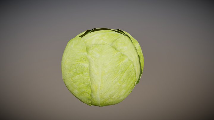 3d_cabbage 3D models - Sketchfab