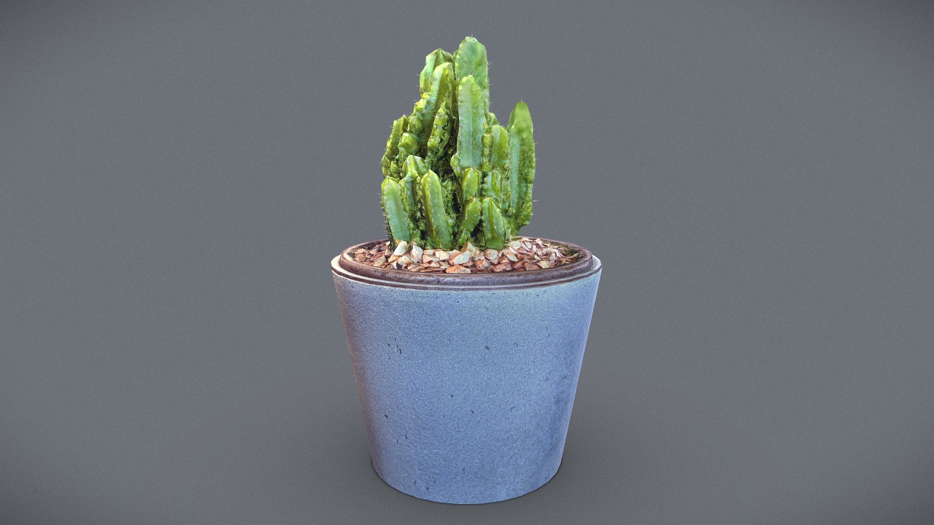 Cactus plant in a ceramic pot - Buy Royalty Free 3D model by Cheella ...