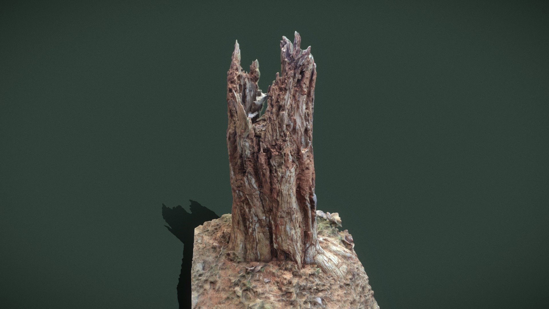 Batang pohon - Download Free 3D model by dekahobby [d5d0925] - Sketchfab