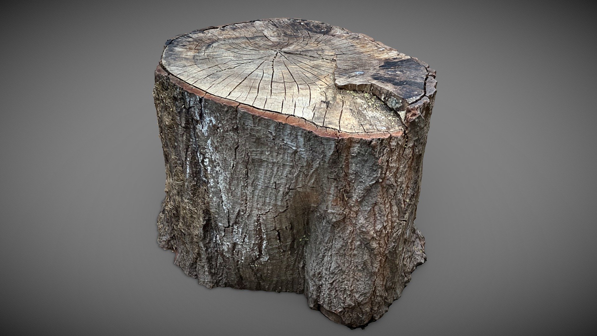 Log photogrammetry - Buy Royalty Free 3D model by Alex Tench (@alex ...