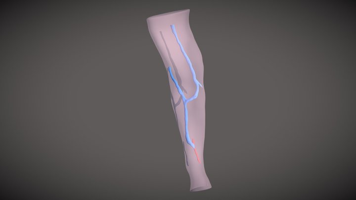 Avf 3D models - Sketchfab