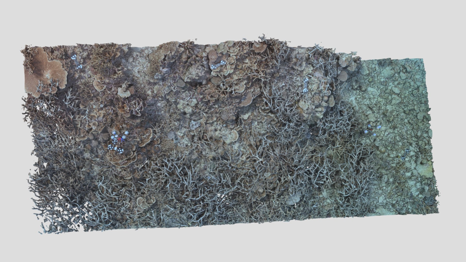 Heron_FL1S_P2_202105 - Download Free 3D model by EcoRRAP (@AIMSEcoRRAP ...