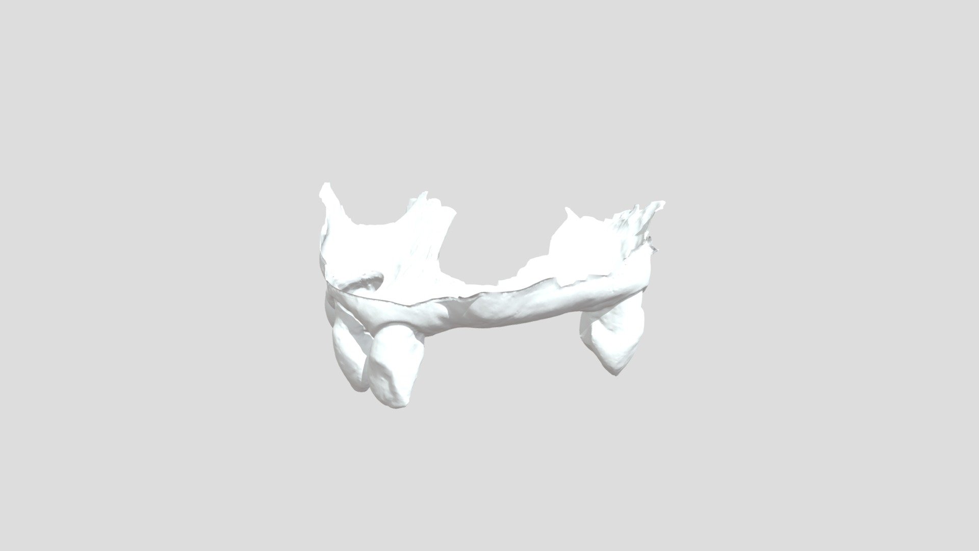 84820319_shell_occlusion_u - 3D model by shotelco [d5ef1e2] - Sketchfab