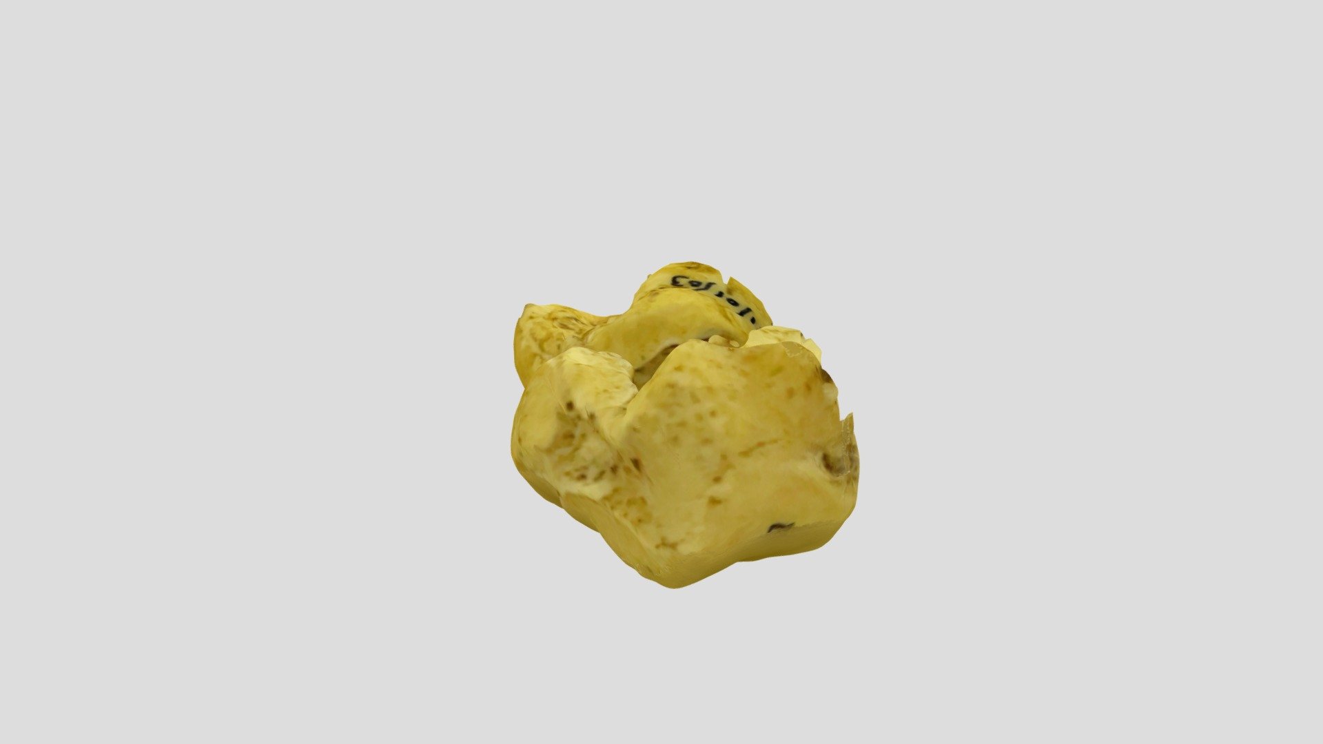 Talus - 3D model by prajjawalit [d5ef596] - Sketchfab