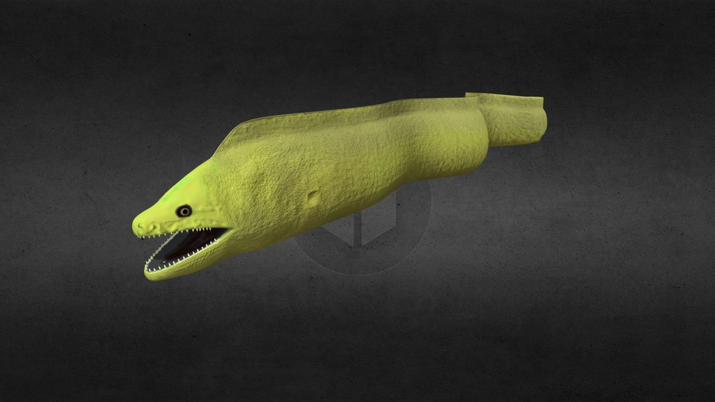 drag - A 3D model collection by merei - Sketchfab