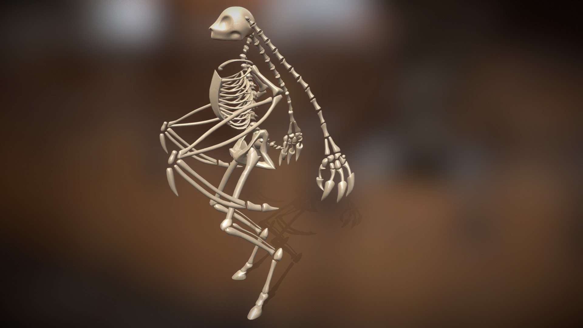 Helieon Skeleton - 3D model by emf-v [d5f7c69] - Sketchfab