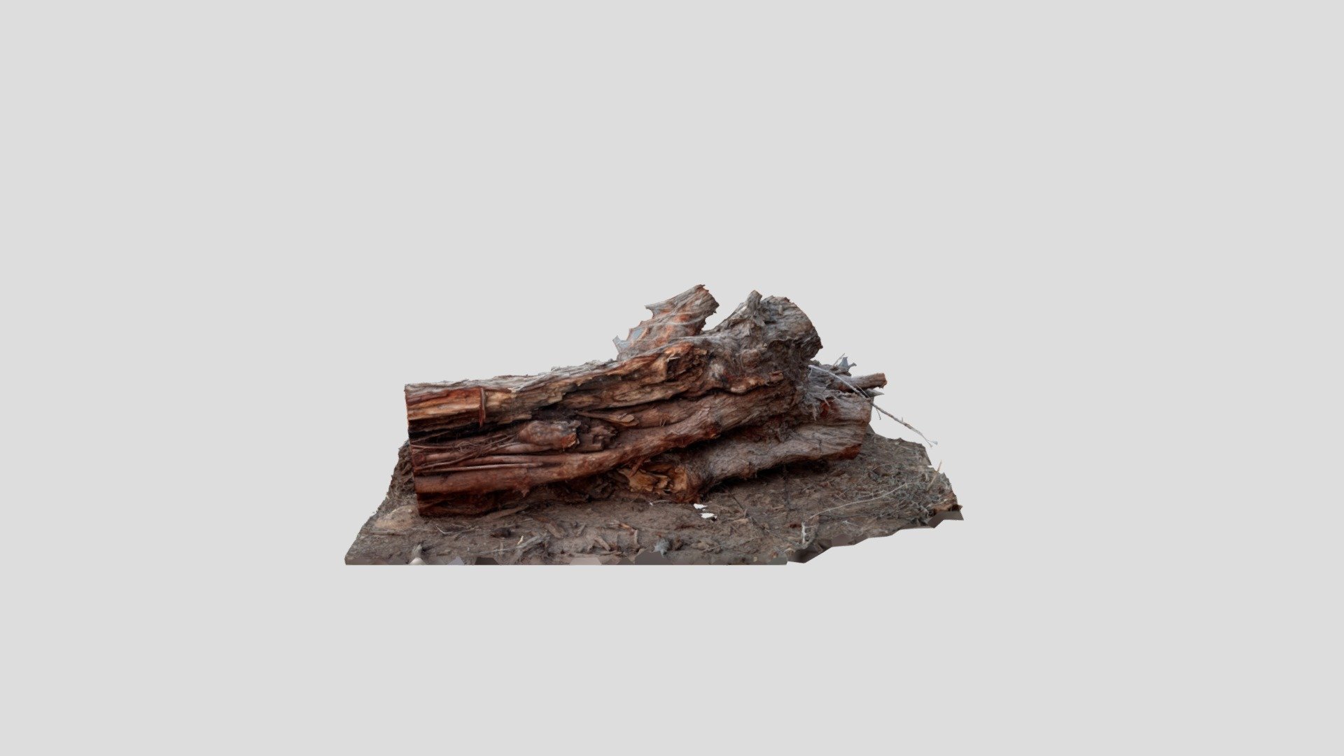 Dead tree - Download Free 3D model by delete_master_99 [d5ffee8 ...