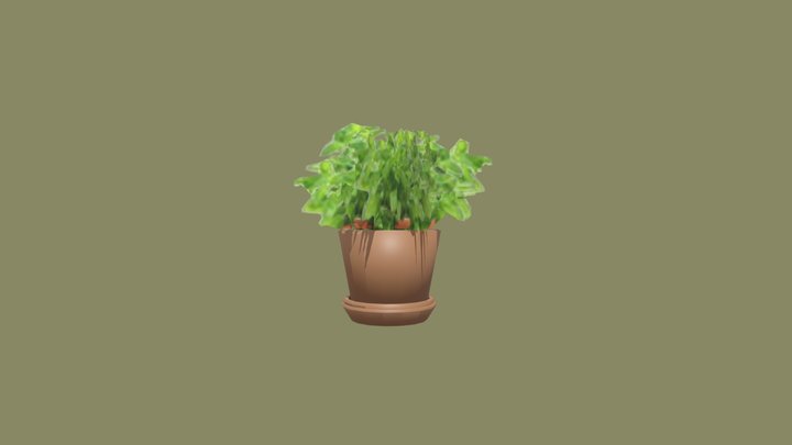 Basil 3D models - Sketchfab