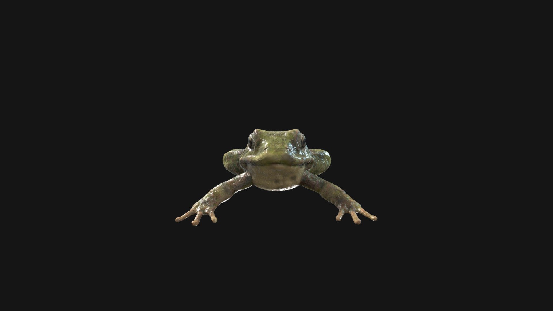 Hexed: Frog - 3D model by Solar1271 [d61292a] - Sketchfab