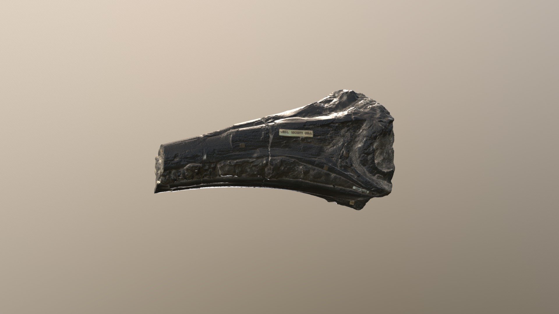 [1375] GSd 5953 Ichthyosaur Skull 750K - 3D model by 3d Fossils GB ...