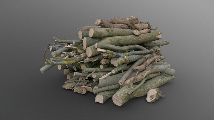 Branch 3D models - Sketchfab