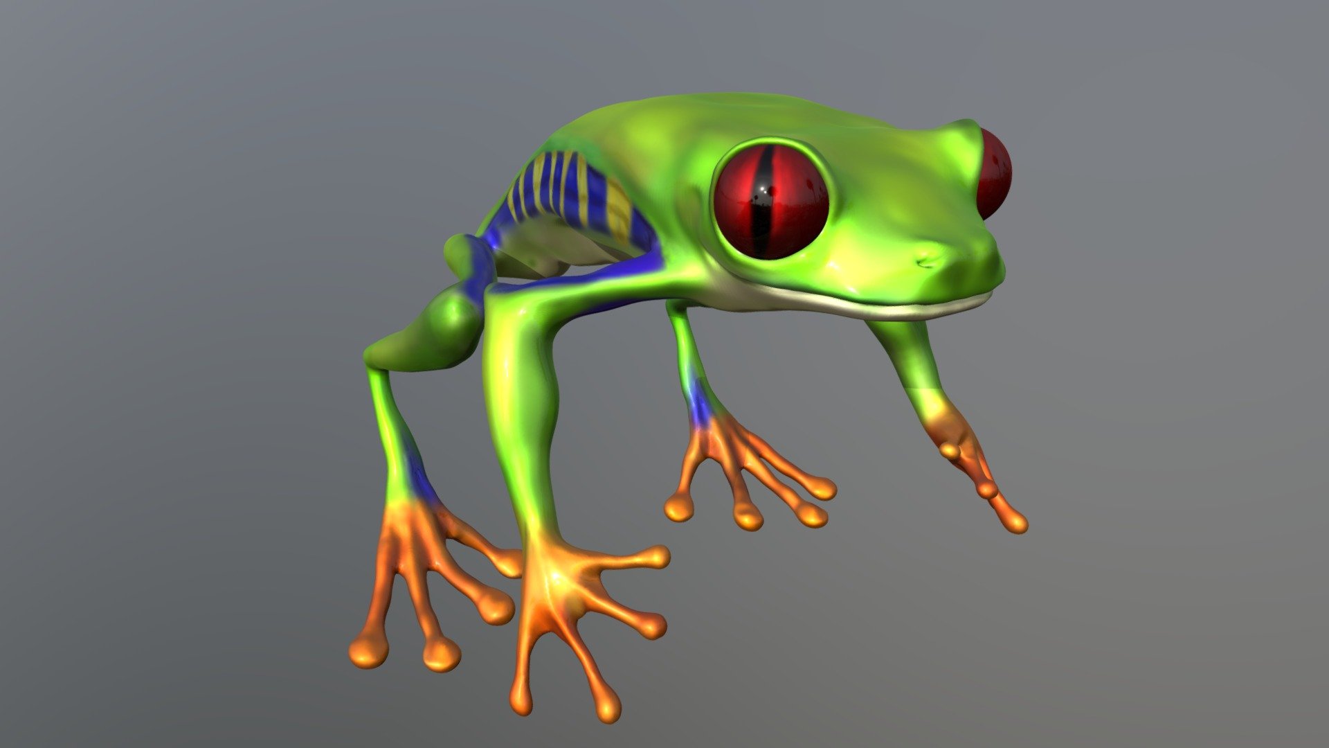 Tree Frog - 3D model by orangemagpie [d62c30e] - Sketchfab