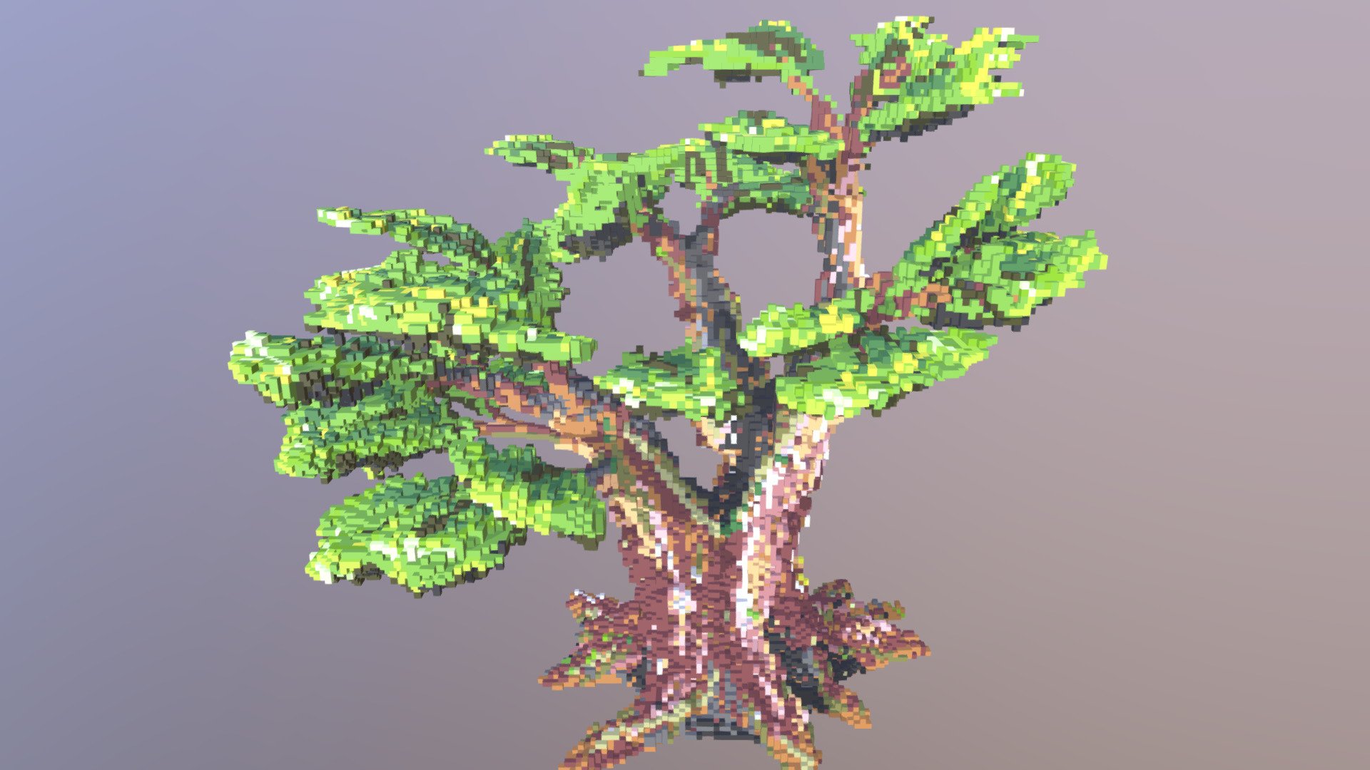 Giant Oak Tree Voxel - Download Free 3D model by WaxFreeOintment ...