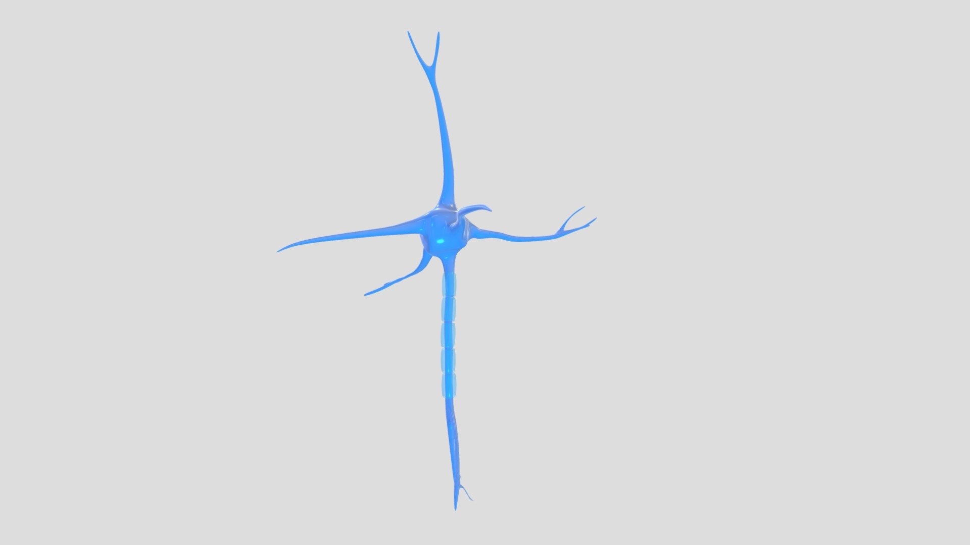 Neuron - 3D model by kvpool [d63cc49] - Sketchfab