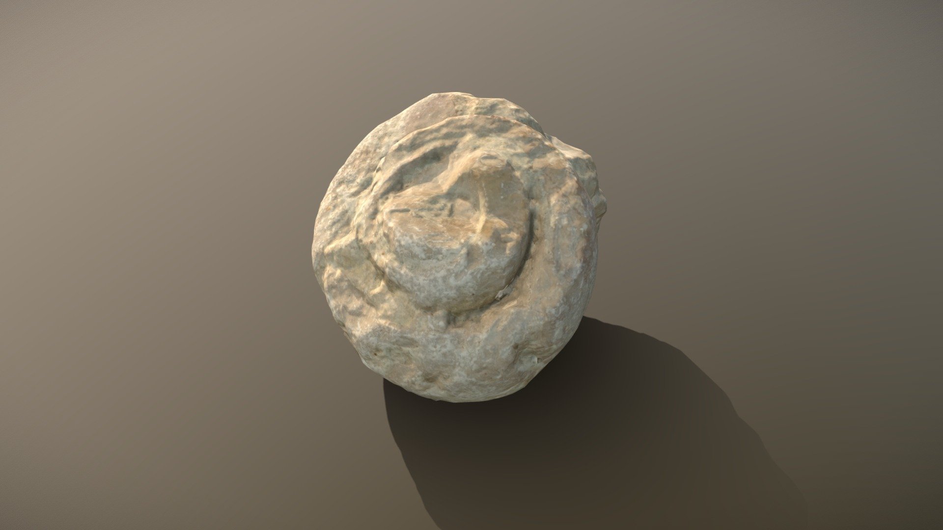 Fossil - Download Free 3D model by Anfossi Valentin (@lebiff) [d640f8c ...