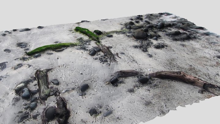Peat 3D models - Sketchfab