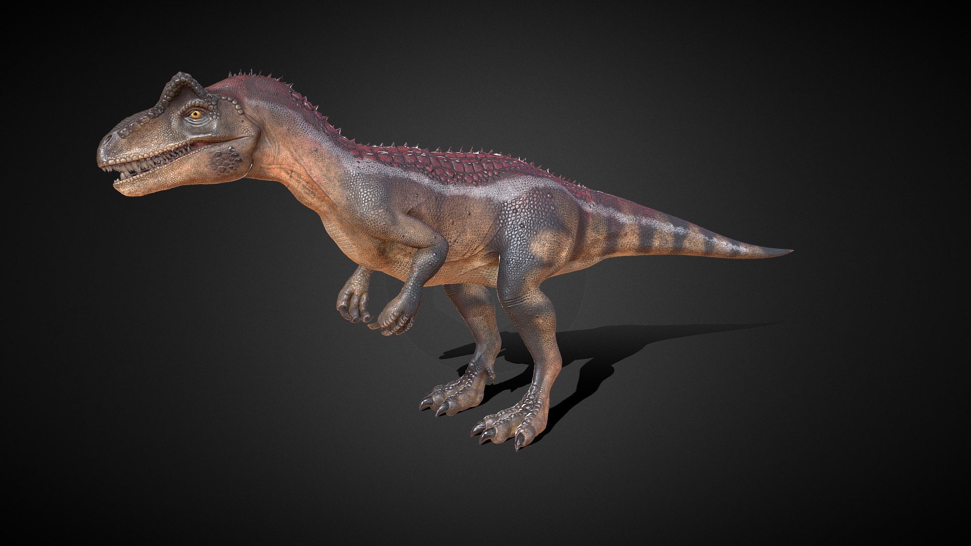 Allosaurus Realtime - 3D model by GregP [d64b717] - Sketchfab