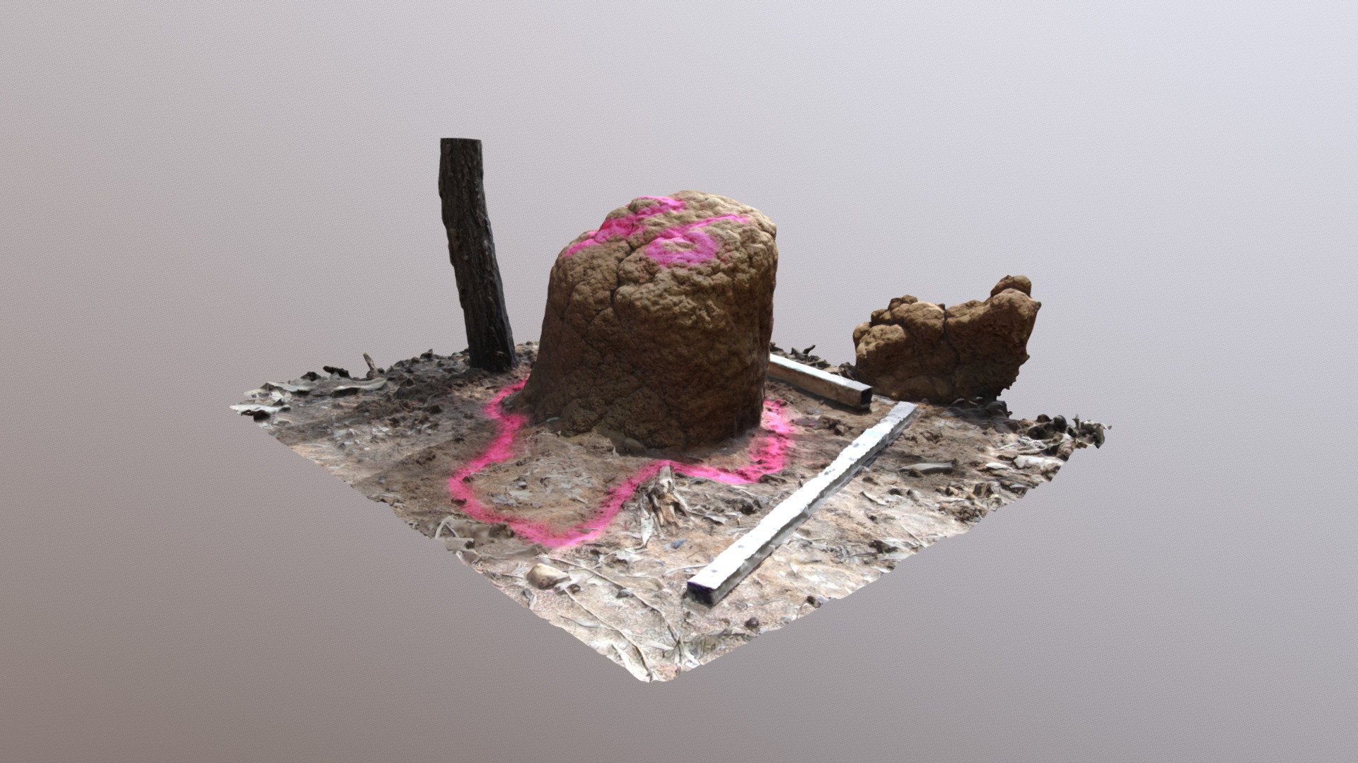 Termite mound Tp3-2016 - 3D model by pnauer [d64d81f] - Sketchfab