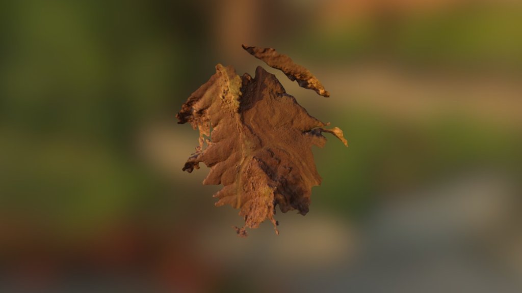 Butler Gulch - 3D model by dmckinno [d64d8e6] - Sketchfab