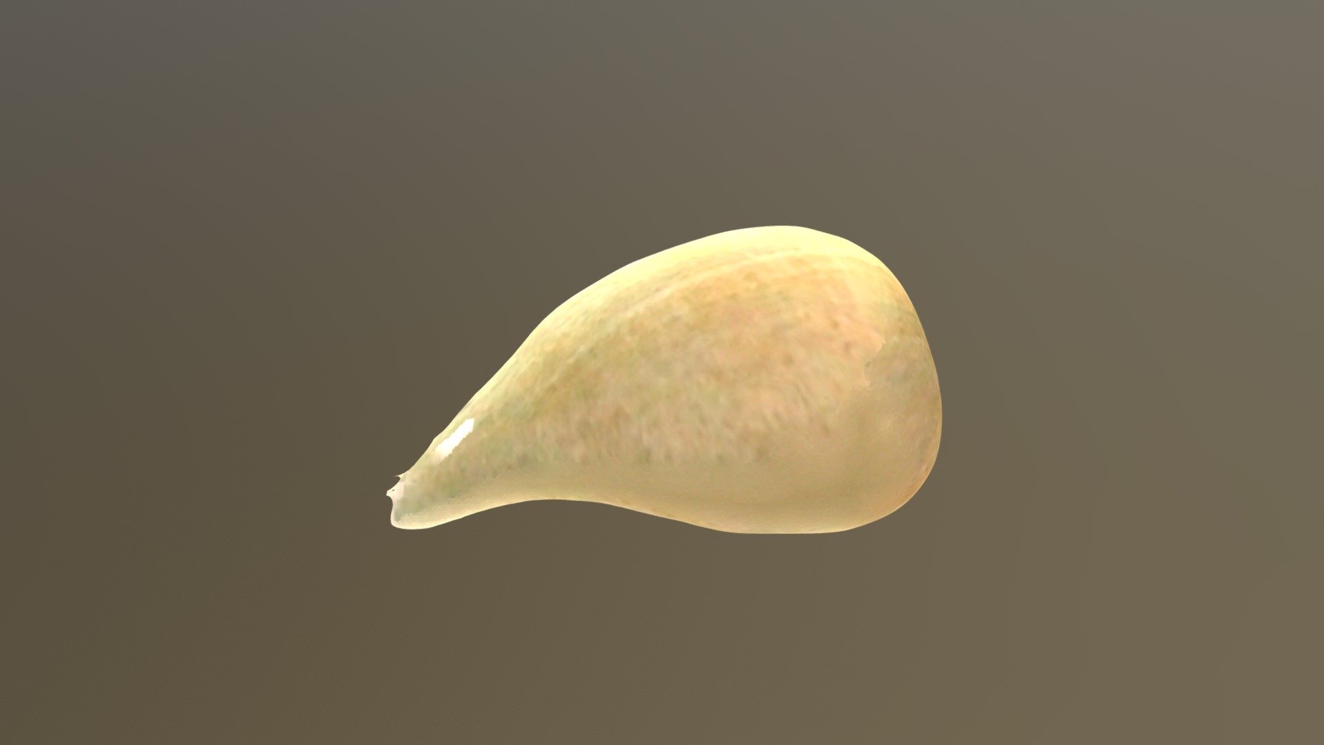 麻布枇杷螺Ficus filosa - 3D model by CraftsinPengHu (@luperlatw) [d65b115] - Sketchfab
