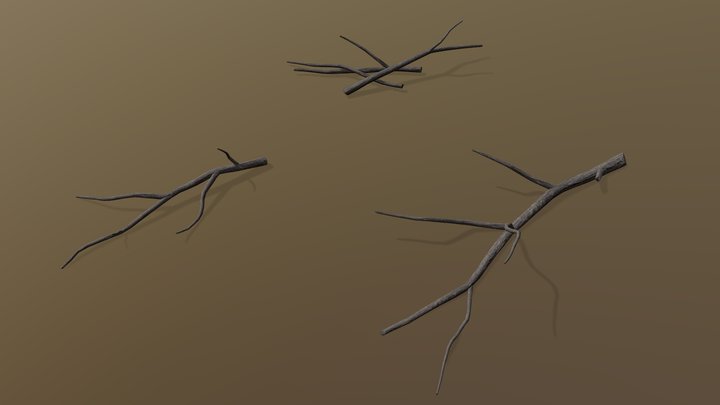 Tree-branch 3D models - Sketchfab