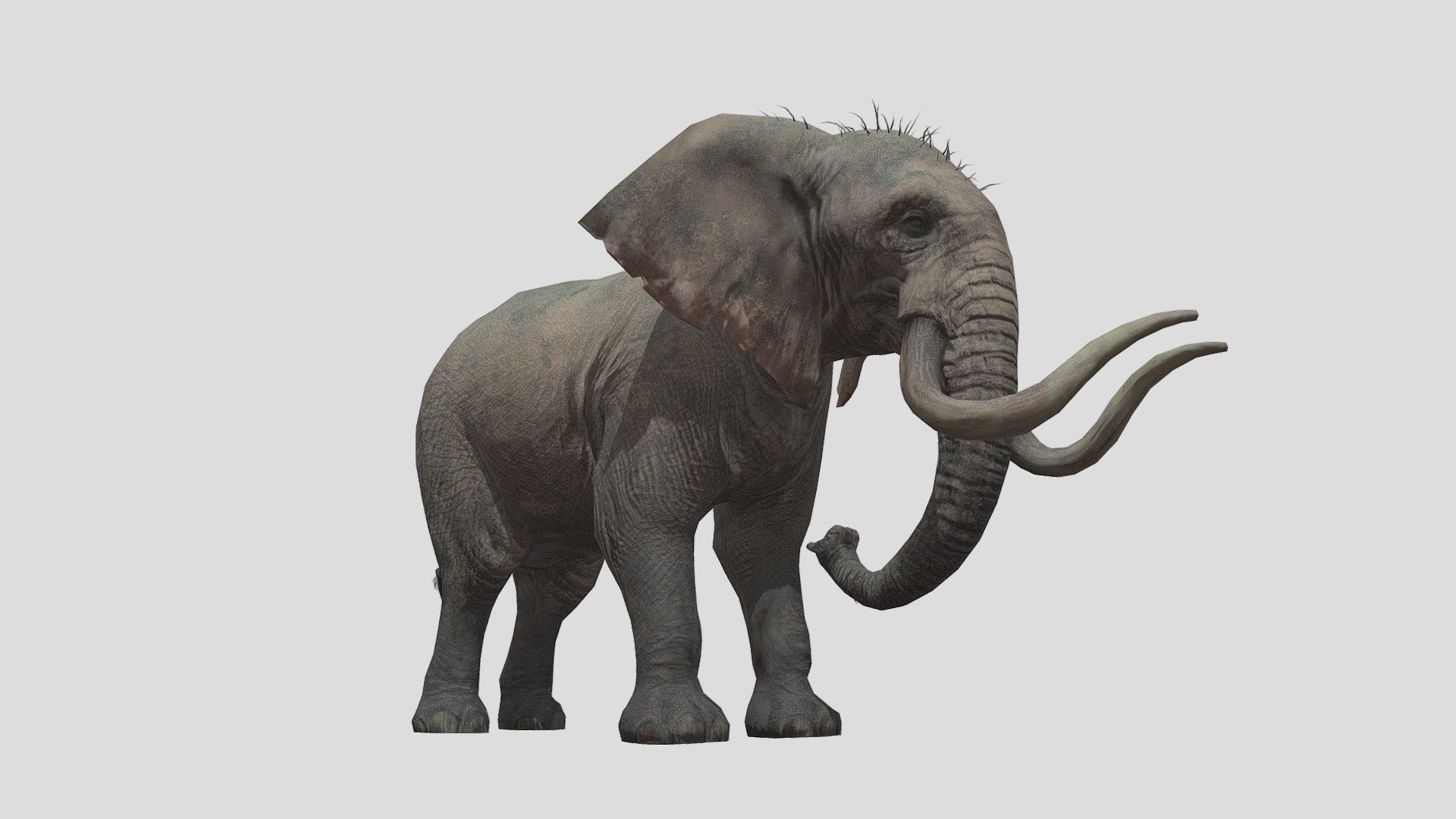 3D model Eleph - Download Free 3D model by FreegenGO! (@FreegenGroup ...