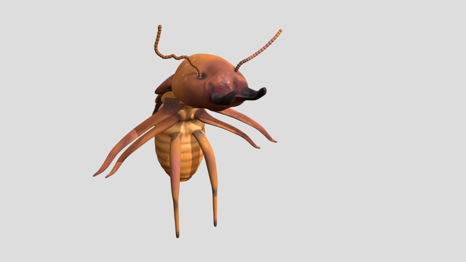 The Friendly Termite - 3D model by CarterNelson [d66a9a2] - Sketchfab