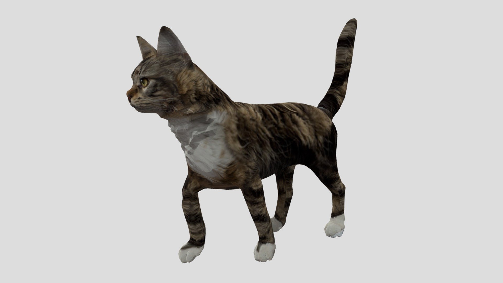 Cat Animated Walking Forward - 3D model by LordSamueliSolo ...