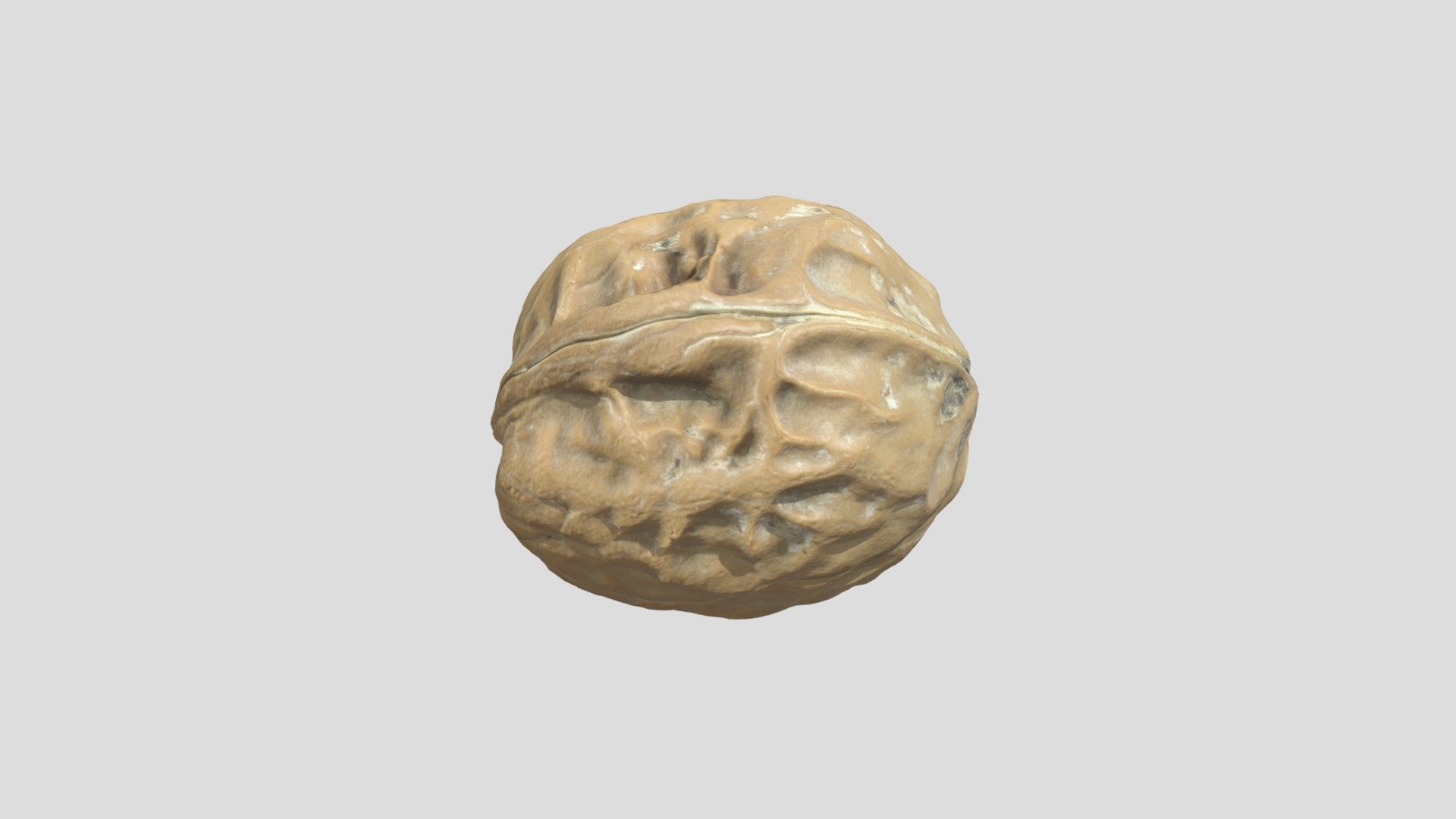 Hetao - 3D model by yizhixiaoyi [d679800] - Sketchfab